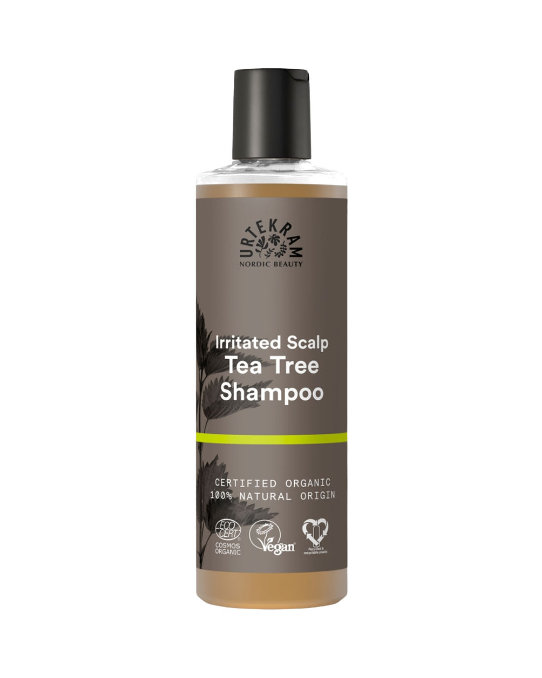Teebaum Shampoo für gereizte Kopfhaut von Urtekram