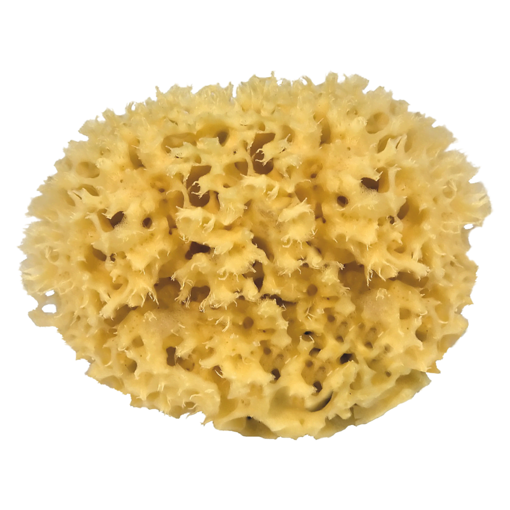 Badeschwamm 11cm von Waldkraft bei greenist.de